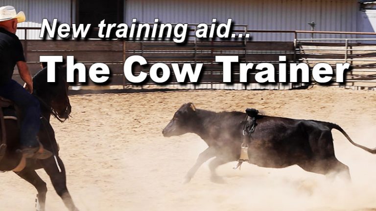Cow Trainer – Horse training videos, saddles, tack and more
